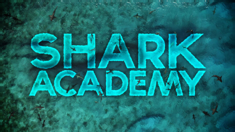 Shark Academy – Holey and Moley | A Motion Graphics Company | 0117 325 3333