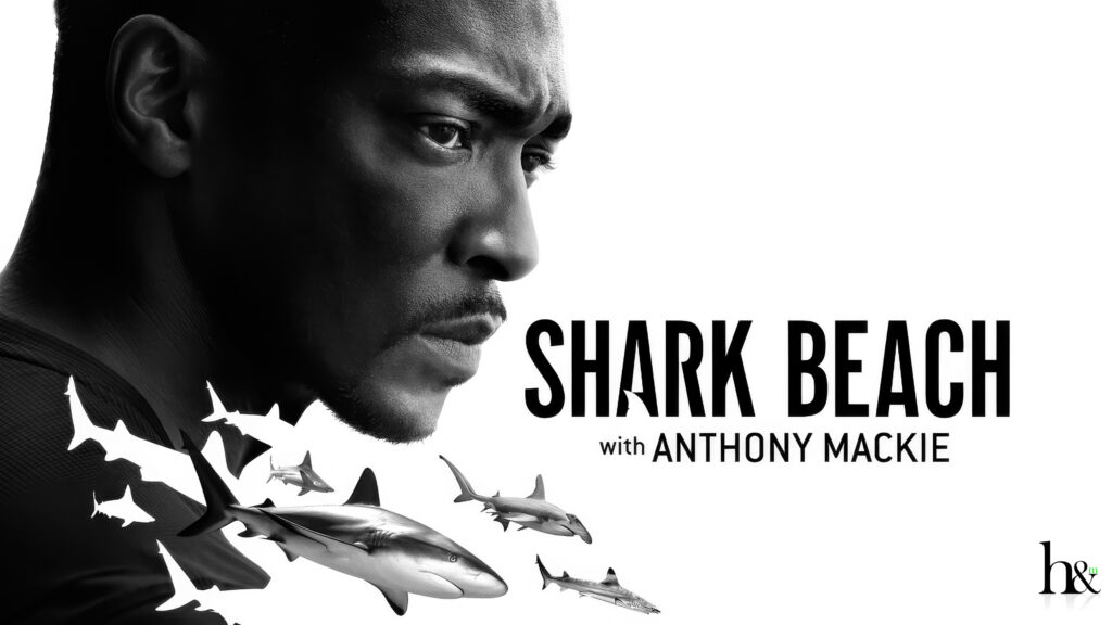 Shark Beach with Anthony Mackie – Holey and Moley | A Motion Graphics ...